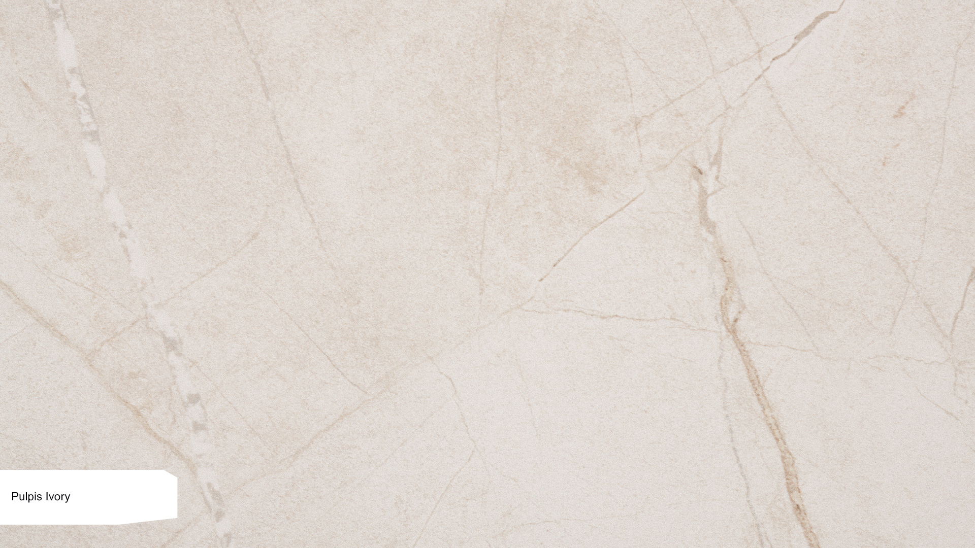 Pulpis Ivory | ArchiType