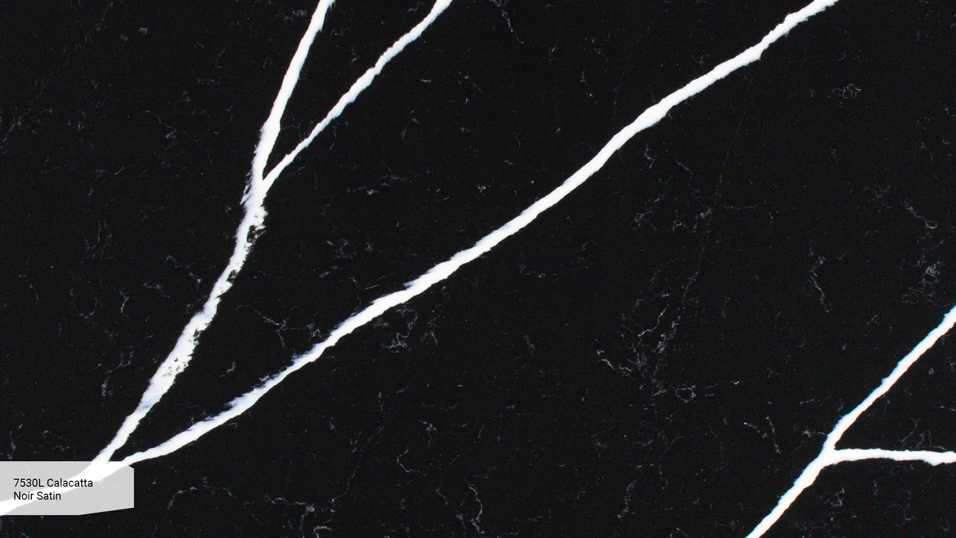7530L Calacatta Noir Satin | ArchiType