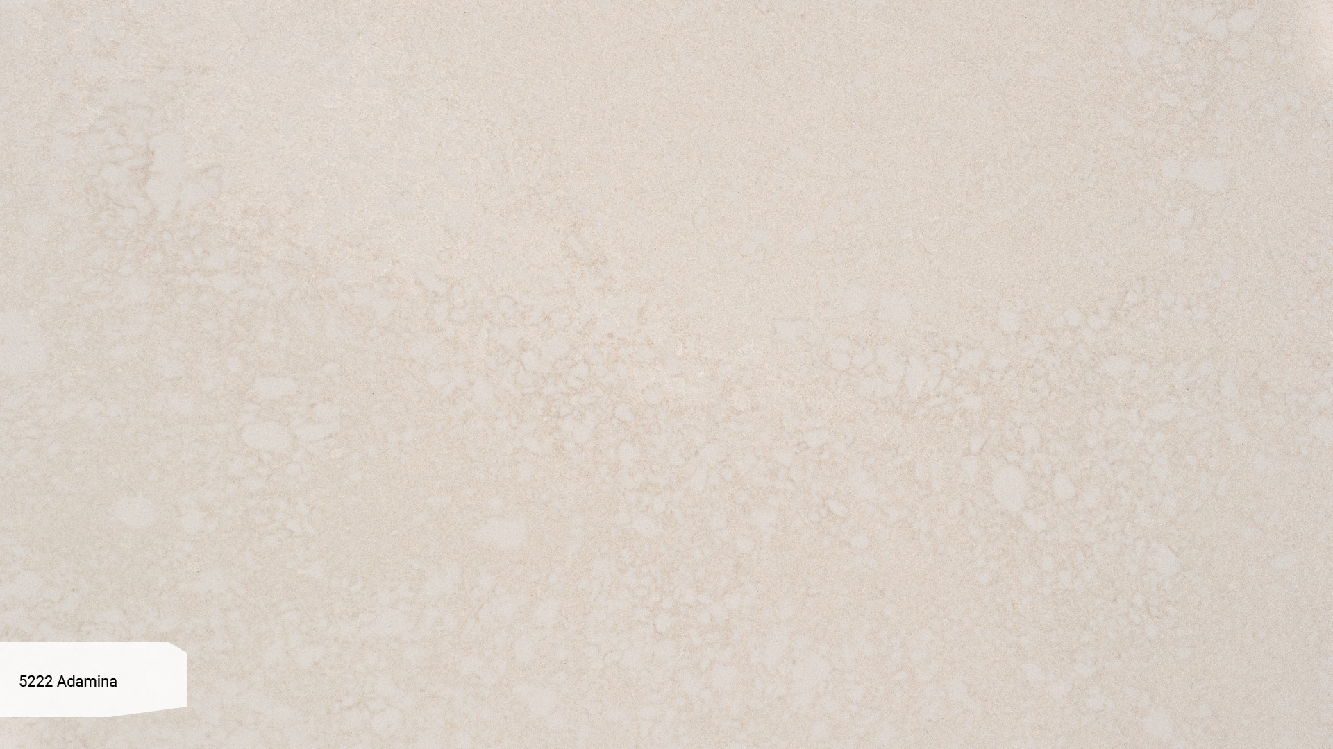 5222 Adamina | ArchiType