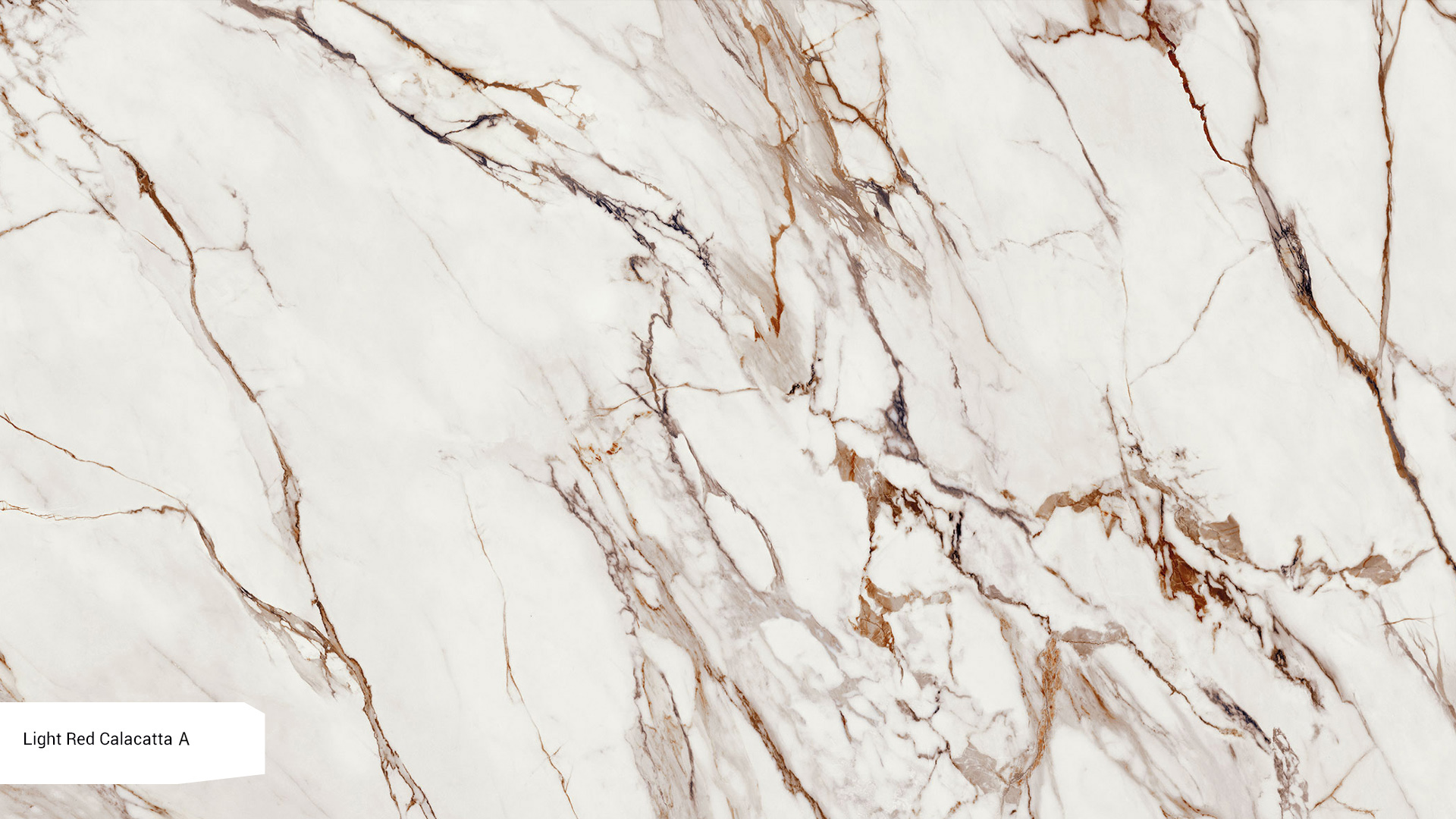 Light Red Calacatta | ArchiType