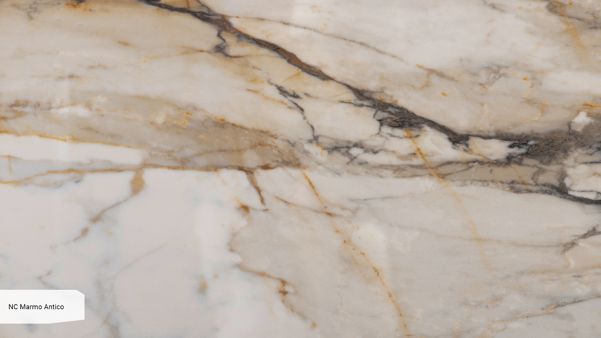 Marmo Antico | ArchiType