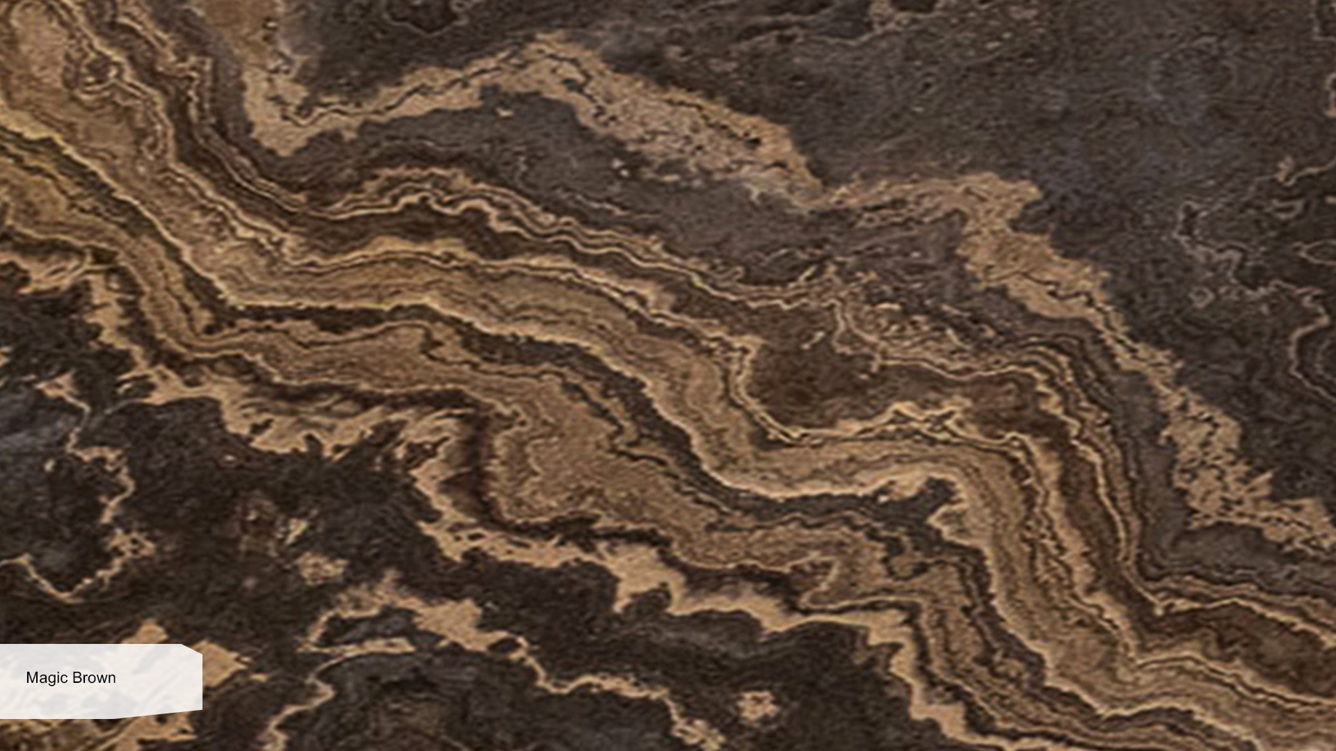 MAGIC BROWN | ArchiType